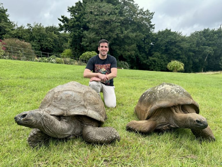 A fun encounter with Jonathan the Giant Tortoise: the 193-year-old ...