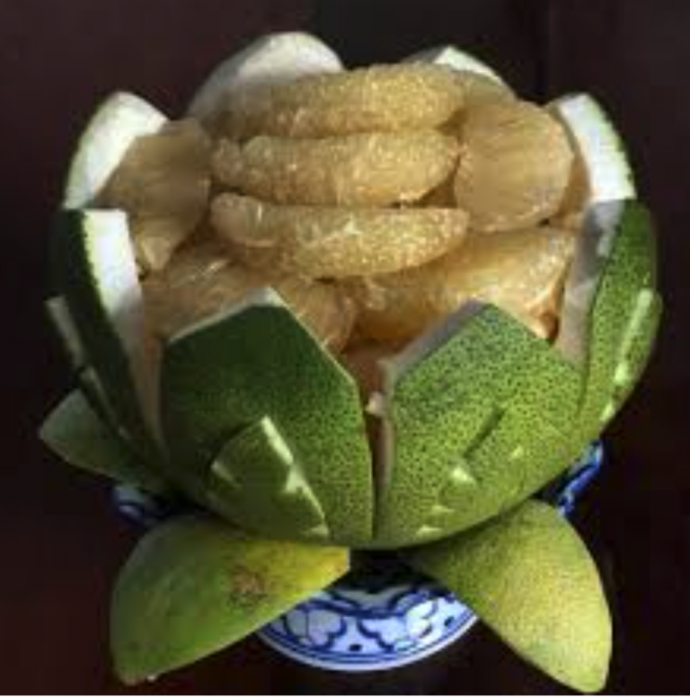 Pomelo: The Giant Citrus Fruit — Young Pioneer Tours